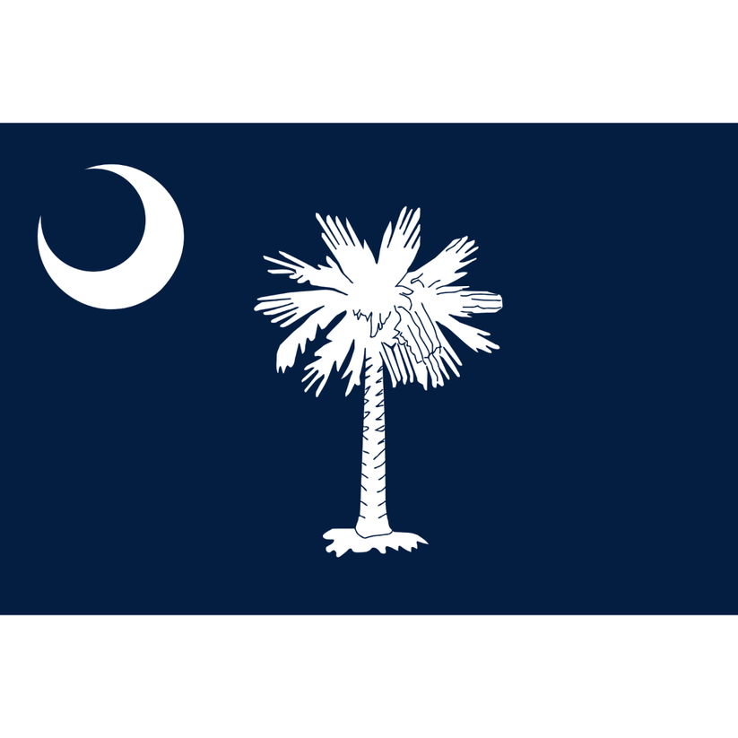 South Carolina State Flag: Embracing the Palmetto State's Proud Legacy ...